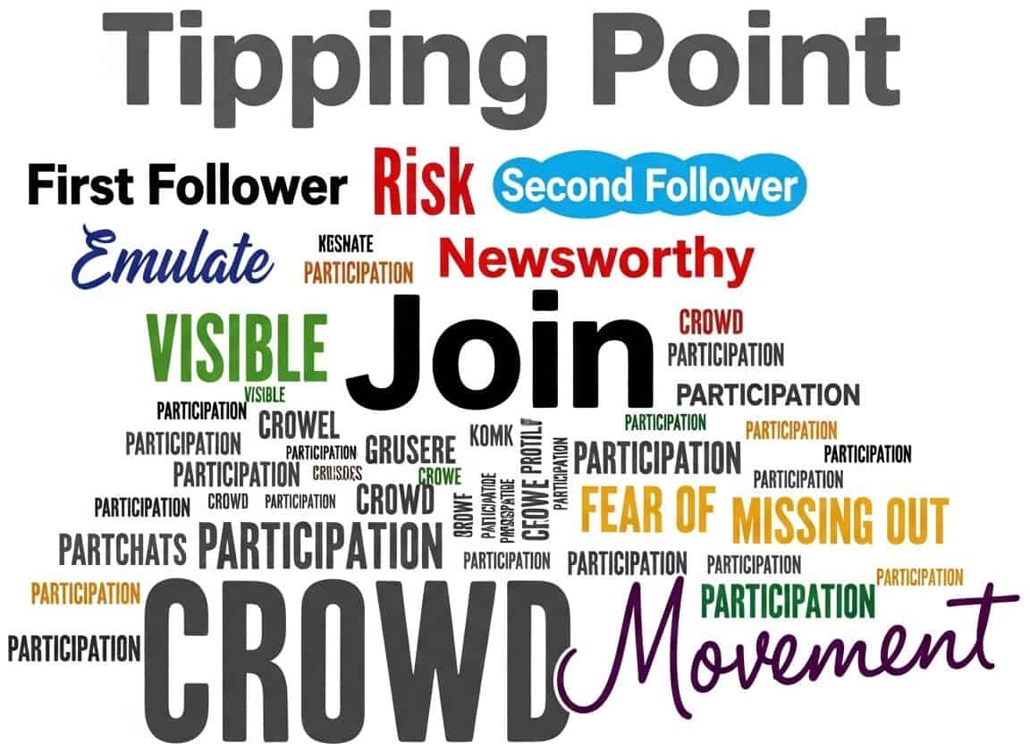 The "Lone Nut", The "First Follower", And The "Fast Follower" Strategies