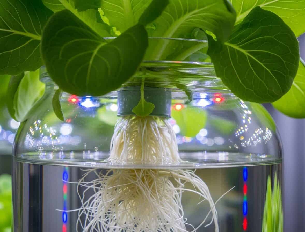 Latest Publications & Patents On Vertical Farming